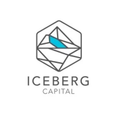 Iceberg Capital Investor Profile | Lucidity Insights